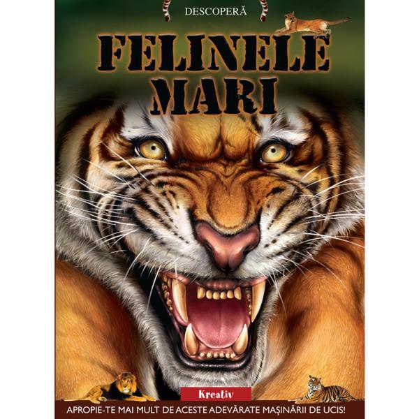 Felinele Mari - Esteto.ro